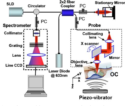 Figure 1 From Phase Sensitive Optical Coherence Tomography Imaging Of The Tissue Motion Within
