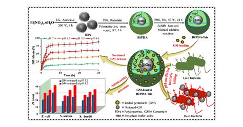 Functionalization Of Biomimetic Polydopamine Shells Constructed Onto