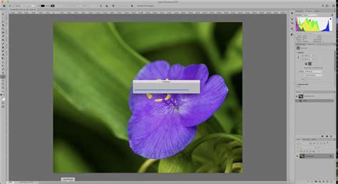 Issue With Photoshop 2120 Opening Files Adobe Community 11226419