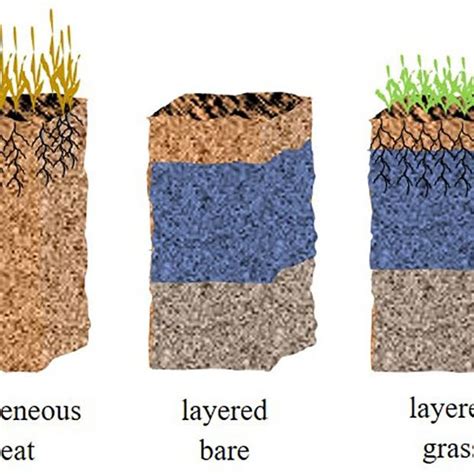 Schematic Sketch Of The Seven Different Scenarios Used For The Modeling Download Scientific