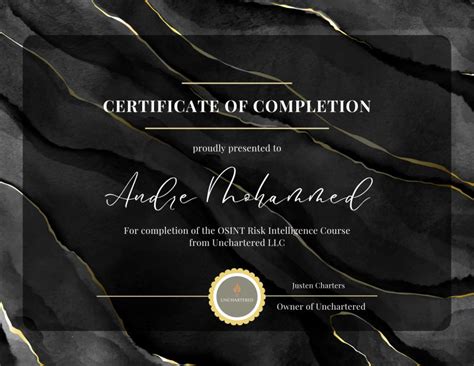 Osint Osintforgood Cyberinvestigation Andre R Mohammed