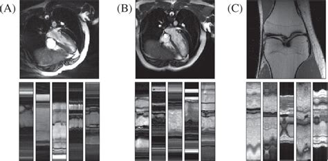 Examples Of Xy Images From Three Different Datasets And Examples Of The