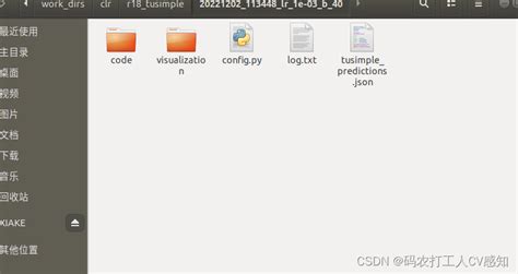 车道线检测clrnet算法复现在tusimple数据集测试democlrnet复现 Csdn博客