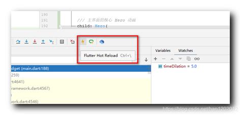 【flutter】flutter 调试 调试控制相关功能 断点管理 代码运行控制 Flutter 断点调试 Csdn博客