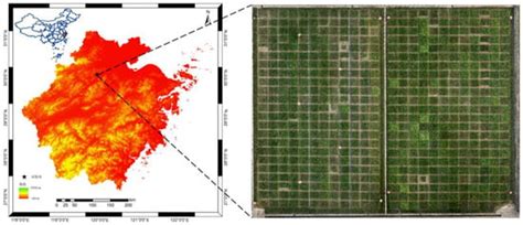 Agronomy Vol 14 Pages 883 Time Series Field Estimation Of Rice