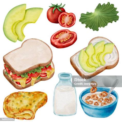 수채화 그림 아침 식사 세트 아침 식사 쉬운 식사 재료 샌드위치 야채 귀리 버섯 아보카도 계란 베이컨 일러스트레이션에 대한 스톡 벡터 아트 및 기타 이미지 Istock