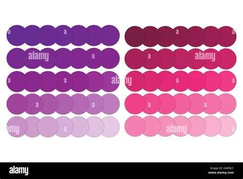 Purple To Pink Circle Palette Vector Gradient Shades From Violet To