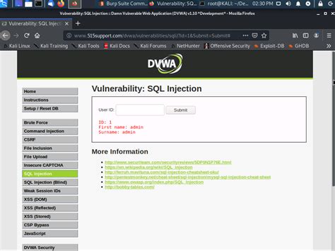 github edwinmelero nikto and burp suite analyzing output from web