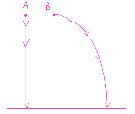 projectile short essay questions flashcards quizlet