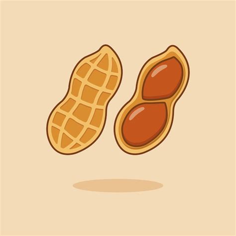 Premium Vector Flat Design Peanut Vector Icon