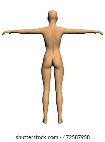 Realistic Naked Girl Pose Arms Raised Stock Vector Royalty Free Shutterstock