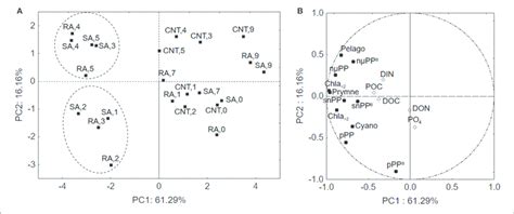Principal Component Analysis A Score Plot And B Loading Plot For