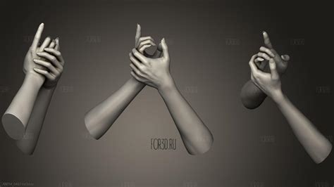 Female Hand Stl At Anitra Bourne Blog