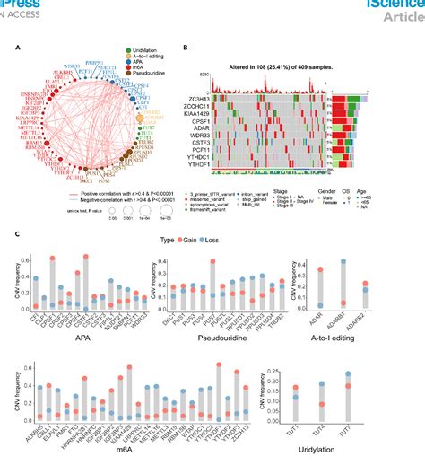Figure 1 From The Implication Of Integrative Multiple Rna Modification Based Subtypes In Gastric