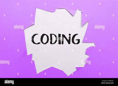 Writing Displaying Text Coding Business Concept Assigning Code To