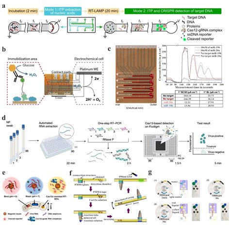 Crispr Cas‐powered Biosensing Deng 2023 Analysis And Sensing Wiley Online Library