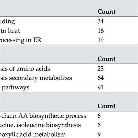 Functional Annotation Clustering By Gobiological Function And Kegg Download Scientific Diagram