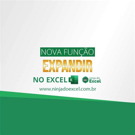 função expandir no excel ninja do excel