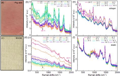 Figure 1 From Infrared Raman Spectroscopy Enables Noninvasive