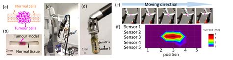Pressure Sensor Array For Locating Tumor In Minimally Invasive Surgery