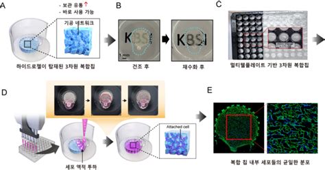 Kbsi 3차원 하이드로젤 성과 잇따라 발표3차원 세포 배양 연구 중대 계기 마련 전자신문 Kbsi 3차원 하이드로젤 성과 잇따라 발표3차원 세포 배양 연구 중대 계기 마련 전자신문