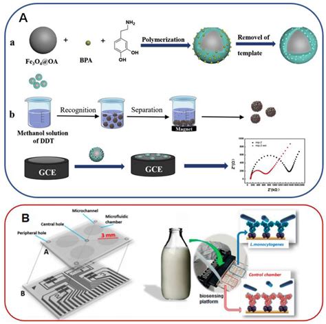 Processes Free Full Text Recent Advances In Nanomaterial Based