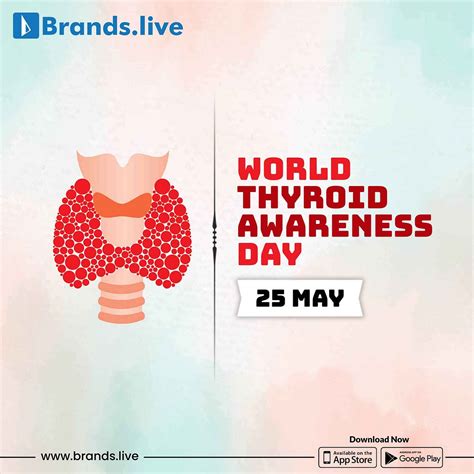 World Thyroid Awareness Day Understanding And Diagnosing Thyroid