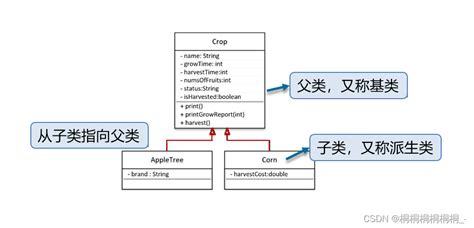Java 继承 超详细 java继承 CSDN博客