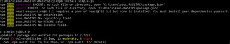 Javascript Npm Package Install Problem Found 23 Vulnerabilities