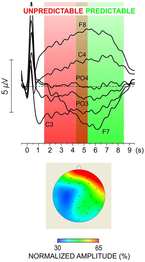 Temporal And Spatial Characteristics Of Slow Potentials Sps In The Download Scientific