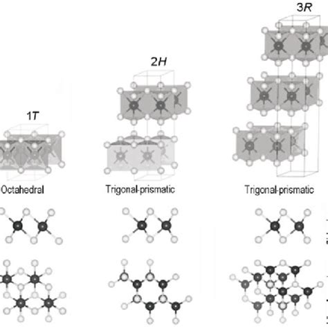 Schematic Representation Of The Tmdc Structural Polytypes 1t