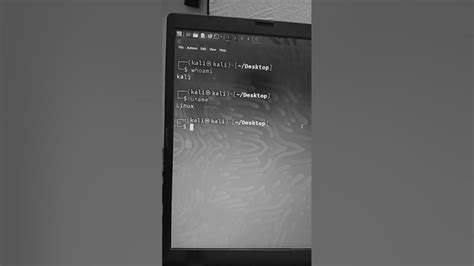 basic commands in kali linux for beginners shorts ethical hacker