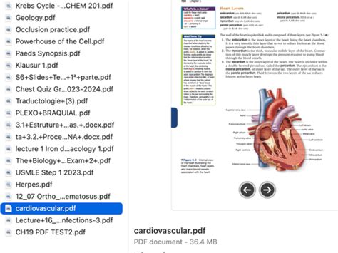 transform pdfs into organized notes with jungle s ai