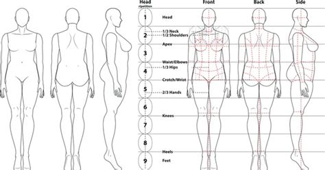 How To Draw Curvy Body
