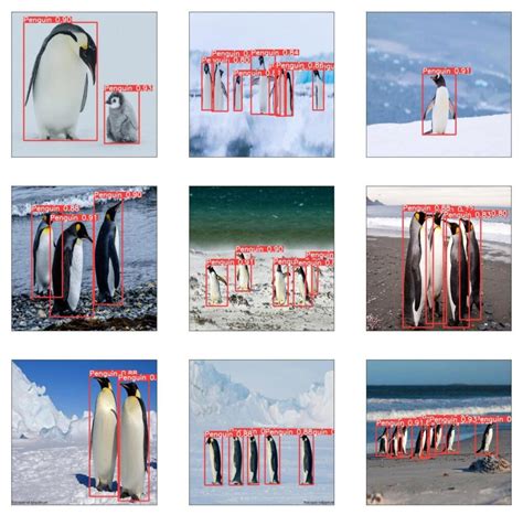 The Practical Guide For Object Detection With Yolov5 Algorithm