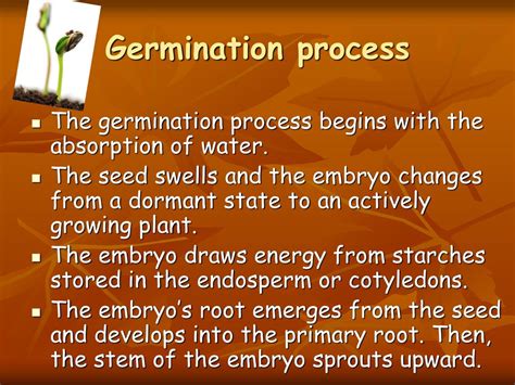 Sexual Propagation Ppt Download