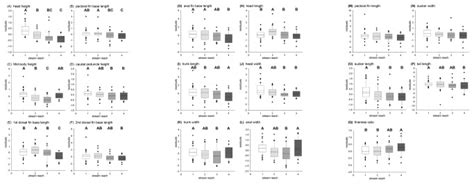 Size Corrected Residuals Of Sixteen Morphological Traits And The