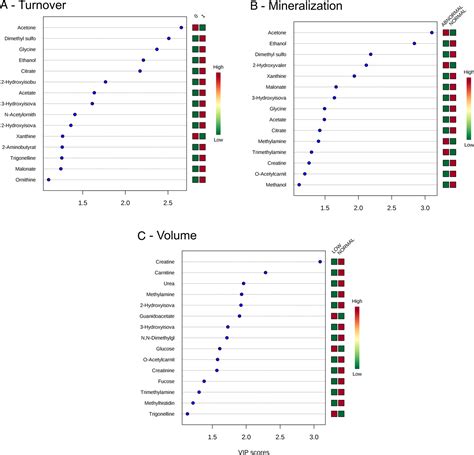 Potential Biomarkers Of The Turnover Mineralization And Volume