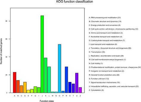 Gene Kog Functional Classification Download Scientific Diagram