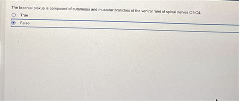 Solved The Brachial Plexus Is Composed Of Cutaneous And