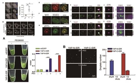 杭州铂赛生物科技有限公司