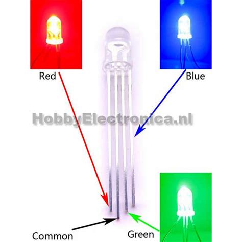 Mm LED RGB Common Anode HobbyElectronica