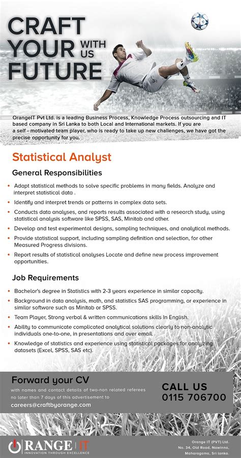 Statistical Analyst