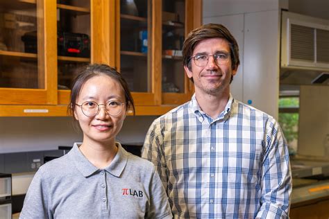 rice engineers storage technology keeps nano eurekalert
