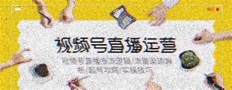 微信视频号直播推流机制剖析(探究微信视频号直播推流的技术原理) 8848seo 微信视频号直播推流机制剖析(探究微信视频号直播推流的技术原理) 8848seo