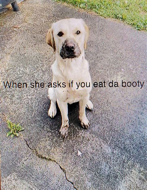 The Best Booty Memes Memedroid