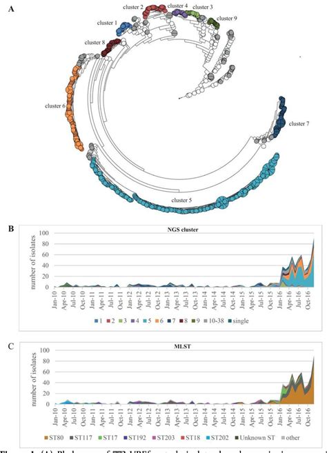 figure 1 from application of next generation sequencing in microbiology semantic scholar