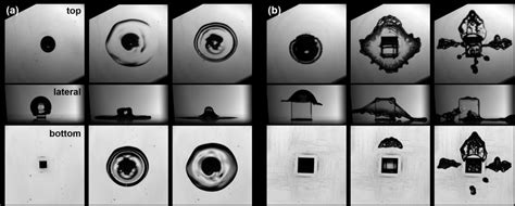 Top Upper Row Lateral Centre Row And Bottom Perspective Bottom