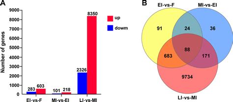The Histogram And Venn Diagram Of The Number Of DEGs In Transcriptome Download Scientific