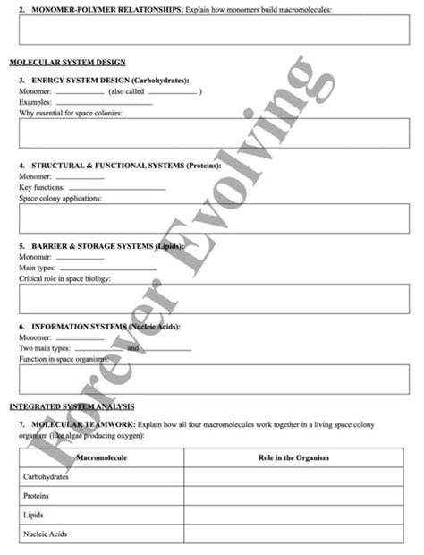 Macromolecules Biology Activity Molecular Architect Role Interactive